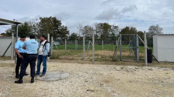 Roubo de 200 capões em Freamunde faz prejuízo de "milhares de euros" e ...