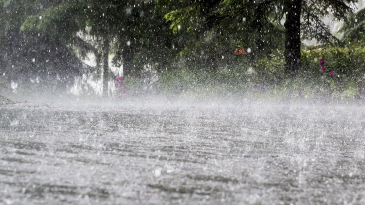 Acha que tem chovido muito? Valores estão longe da média para novembro
