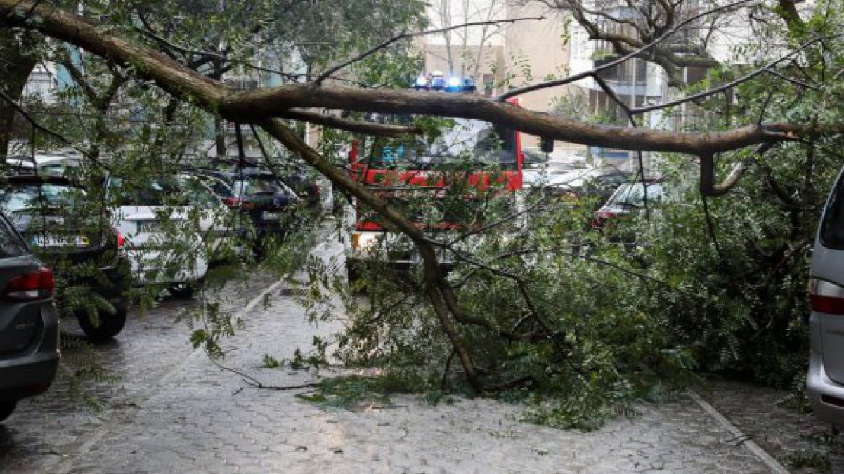Inundações e quedas de árvore em todo o país, Porto e Braga os mais ...