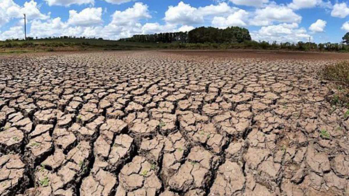 Seca terminou "em praticamente todo o território" de Portugal continental