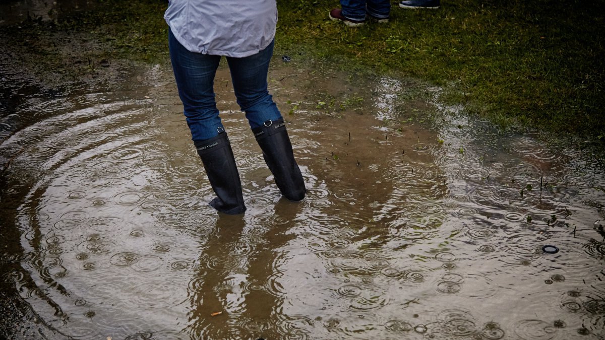 Autarcas comentam sobre situação "dramática" causada pela chuva intensa ...