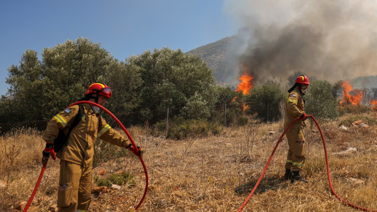 Diversos incêndios florestais nos arredores de Atenas com ordens de ...