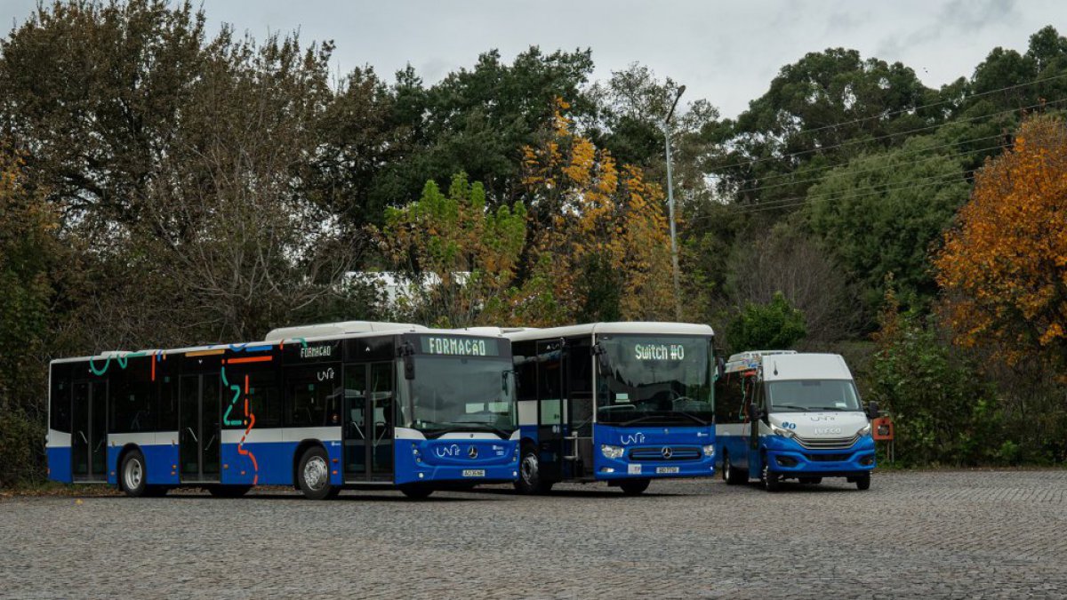 Câmara do Porto admite constrangimentos no terminal das Camélias com ...