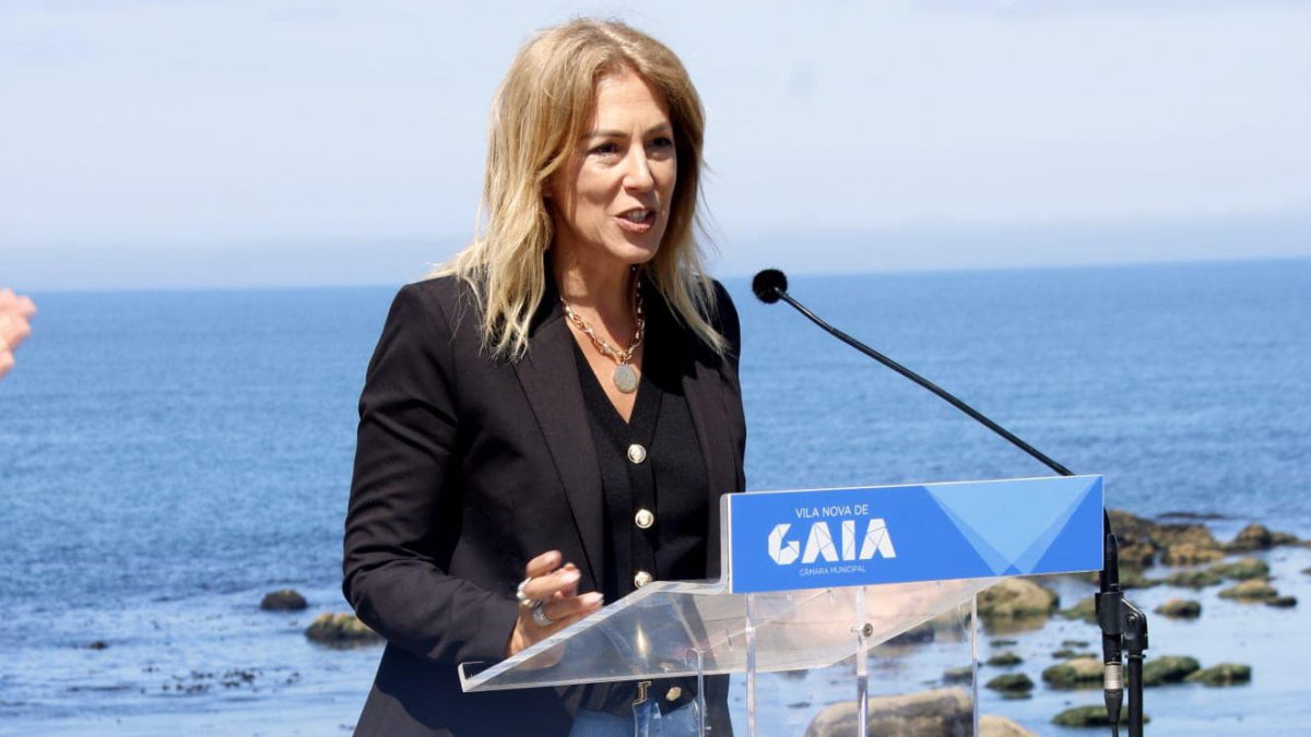 Marina Mendes vai substituir Eduardo Vítor Rodrigues na Câmara de Gaia ...