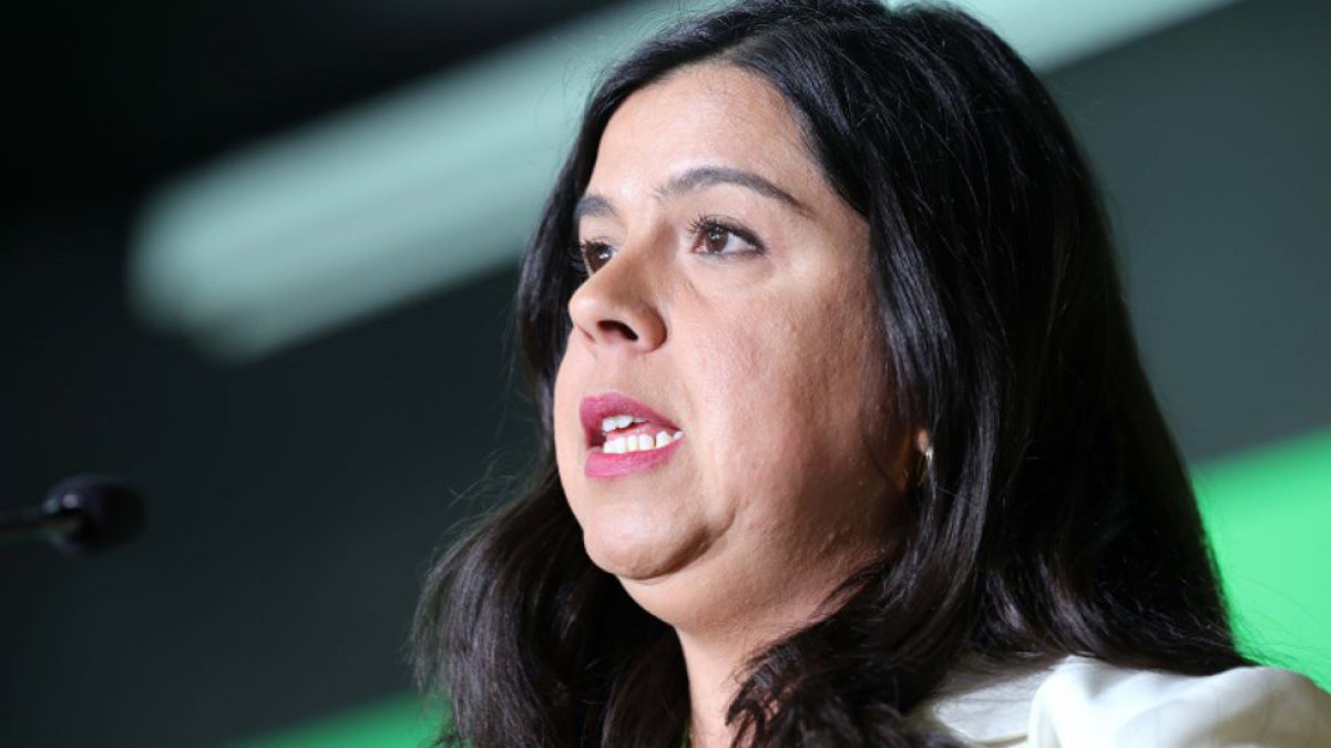 Membros da direção do PAN apresentam demissão em desacordo com ...