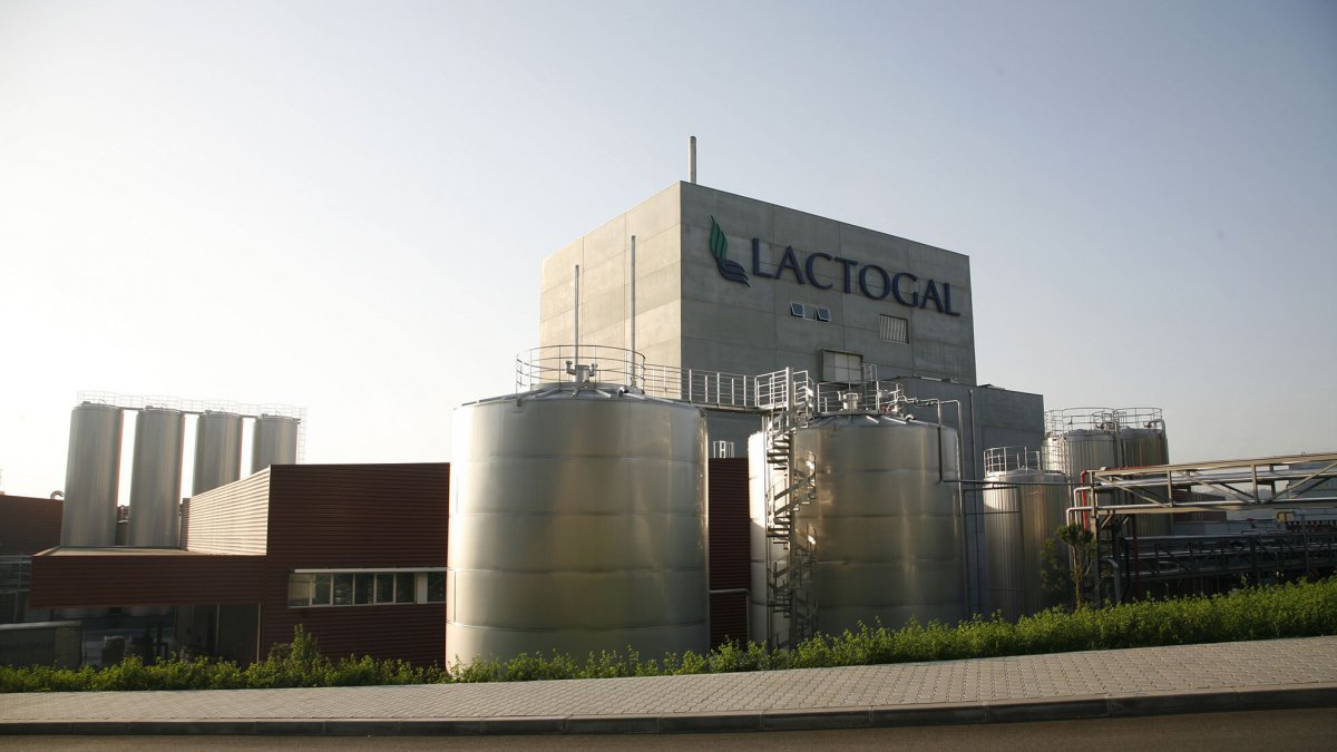 Lactogal lamenta situação no rio Onda e fala em barreira regulamentar