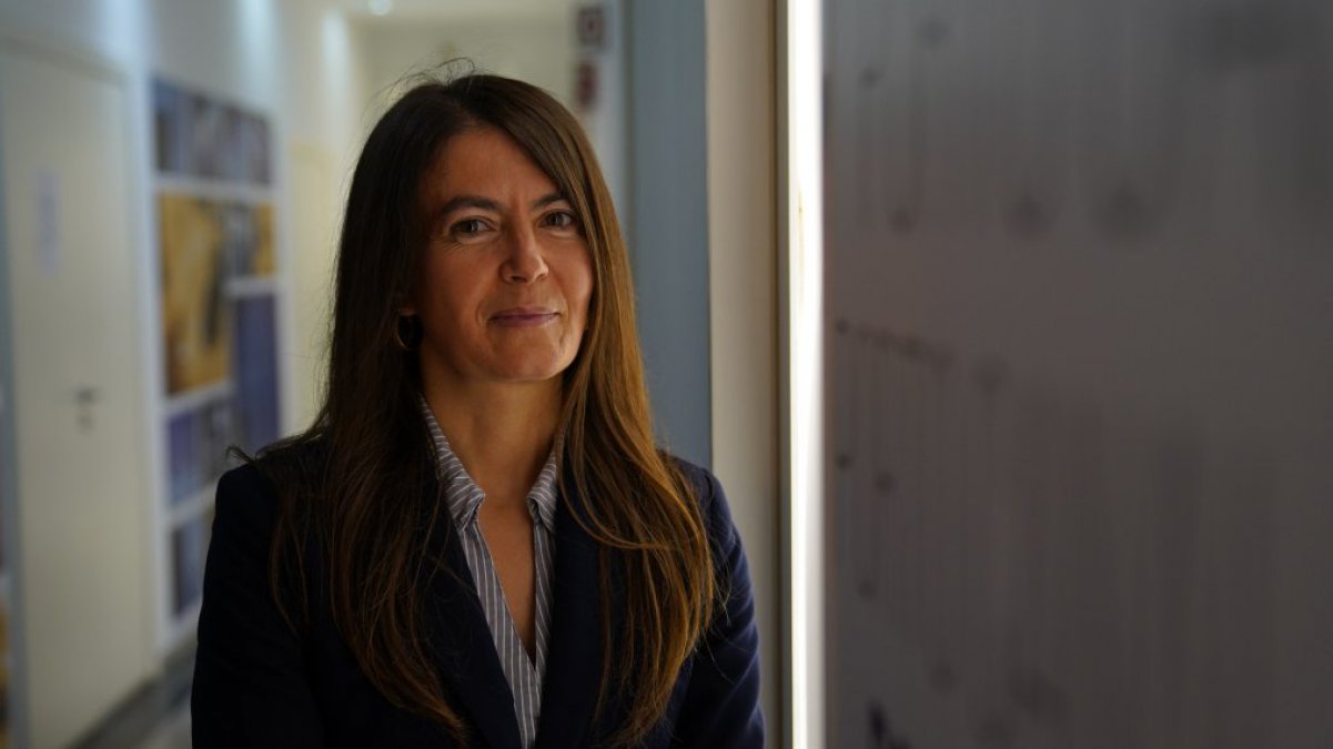 PTP quer construir de 5.000 a 6.000 casas a preços acessíveis no Porto